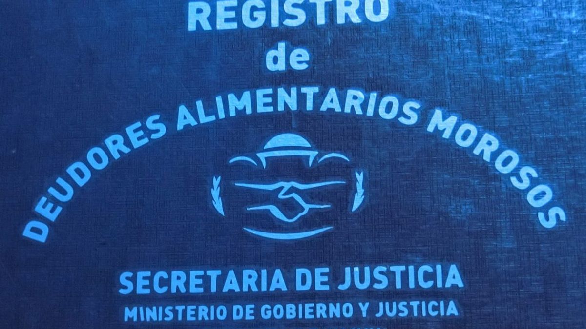 El Registro Provincial de Deudores Alimentarios Morosos reanuda su atención presencial