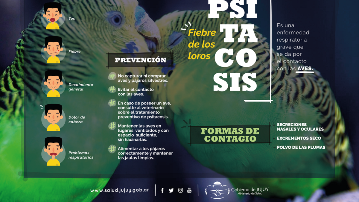 Psitacosis: Recomendación para prevenirla