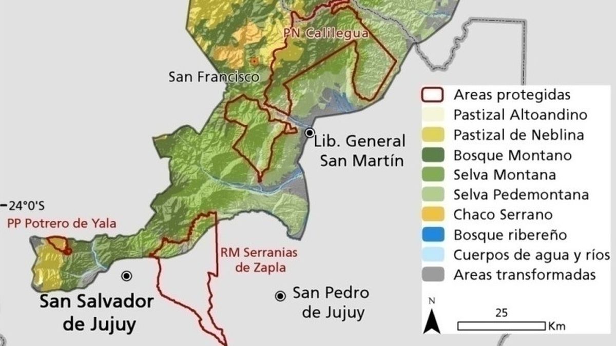 Día de la Reserva de Biosfera de las Yungas