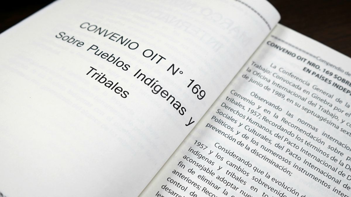 Trabajo Mancomunado con OIT para fortalecer la implementación del Convenio 169 sobre Pueblos ...