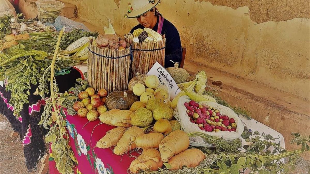 Ancestrales métodos de cultivo y producción de alimentos