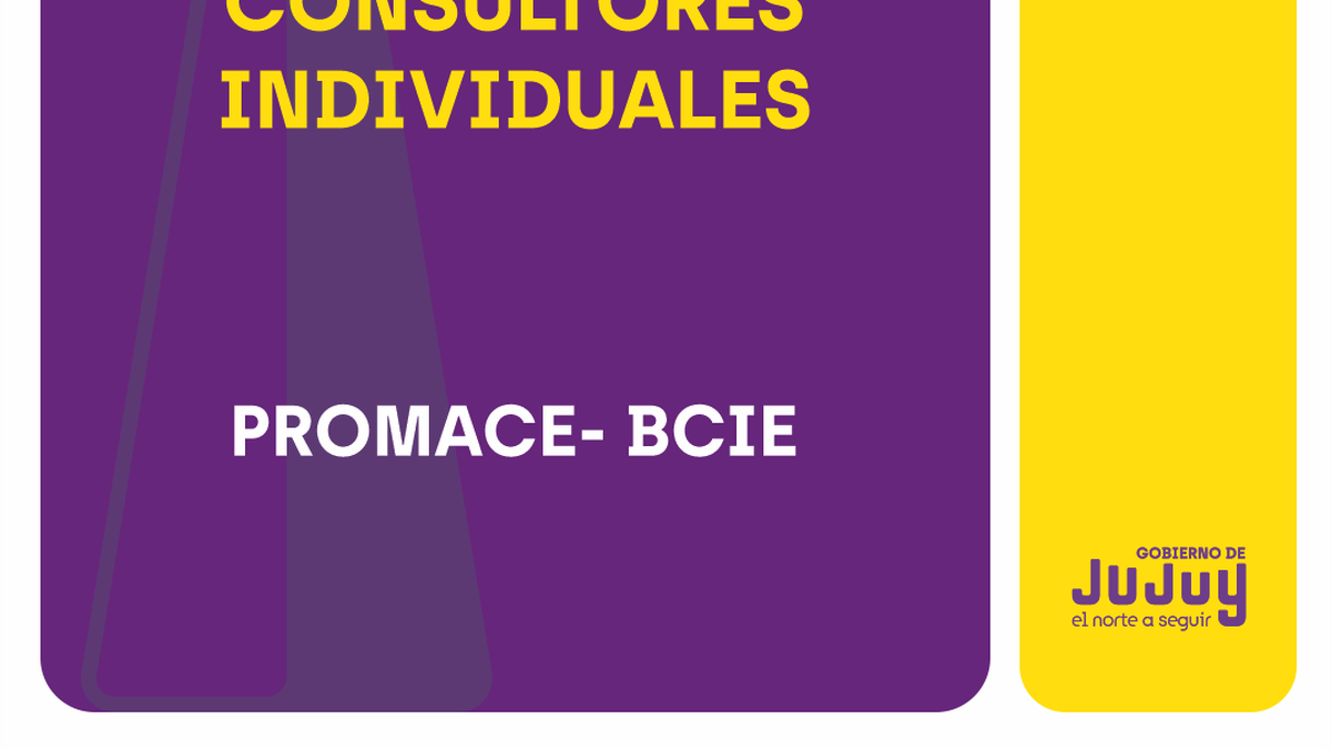 Convocatoria a postulantes para cubrir perfiles de consultores individuales