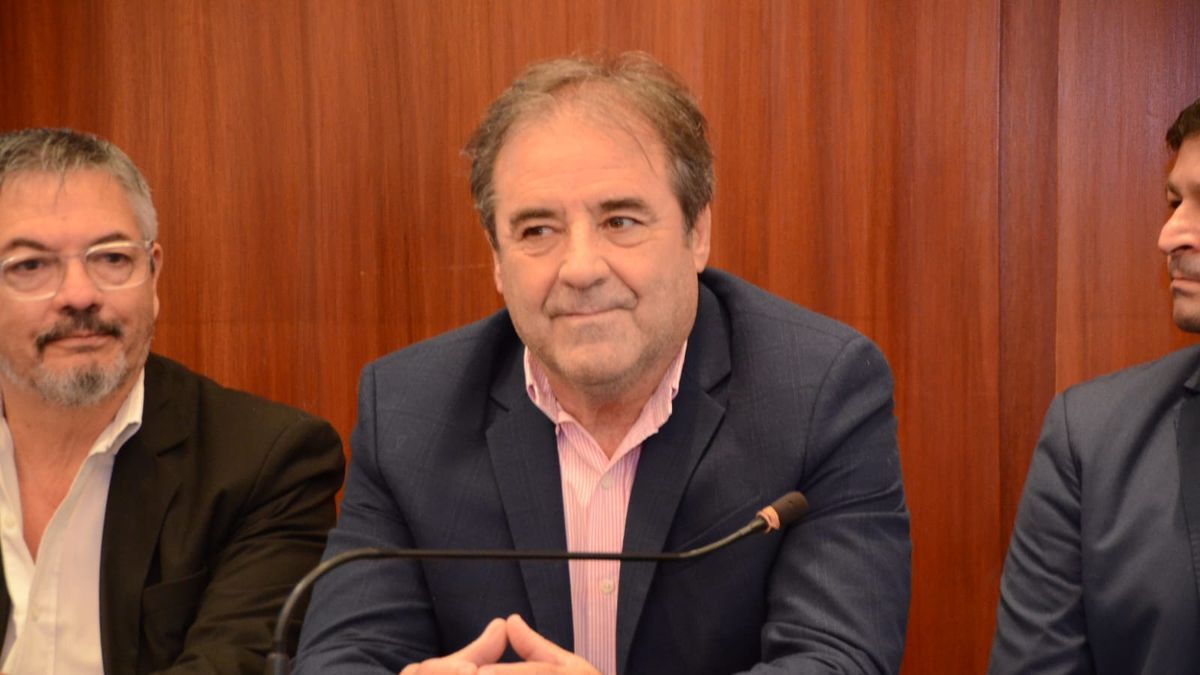 Alberto Bernis: En la reforma no hay inconstitucionalidad