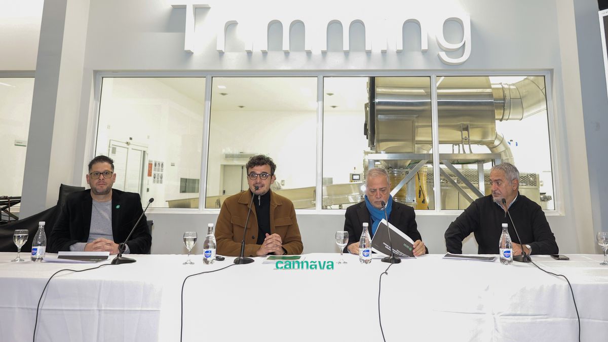 CANNAVA: Jujuy ya exporta flor de cannabis de grado farmacéutico a ...